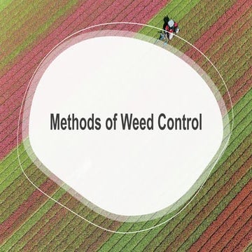 Methods of Weed Control AGRICROP PRODUCTION | PPTX