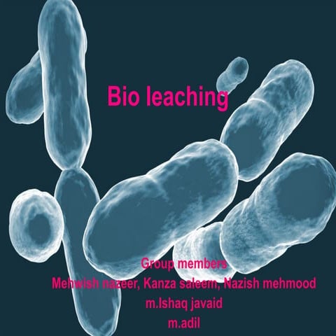 bio leaching | PPT