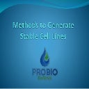 Methods to Generate Stable Cell Lines.pptx
