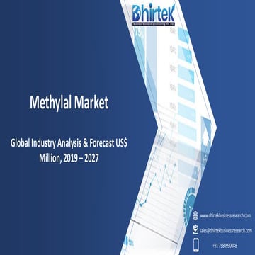 Methylal market | PDF | Commodities | Economy