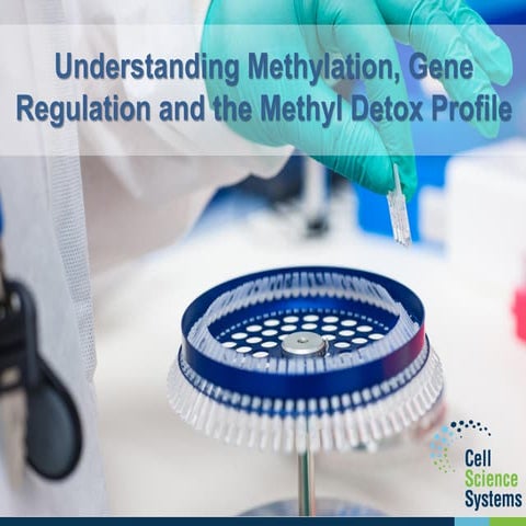 Understanding Methylation, Gene Regulation and the MethylDetox Profile ...
