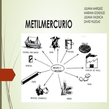 Metilmercurio presentacion final | PPTX