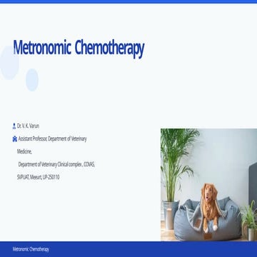 metronomic chemothearpy in Veterinary Practice | PPTX