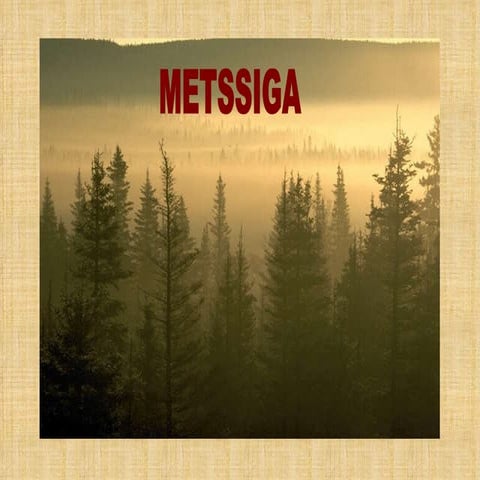 Metssiga | PPT