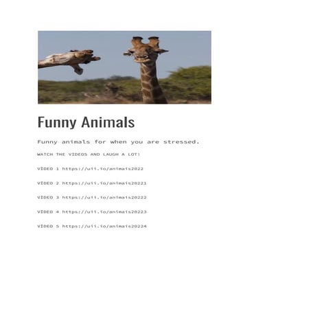Funny Animals | PDF