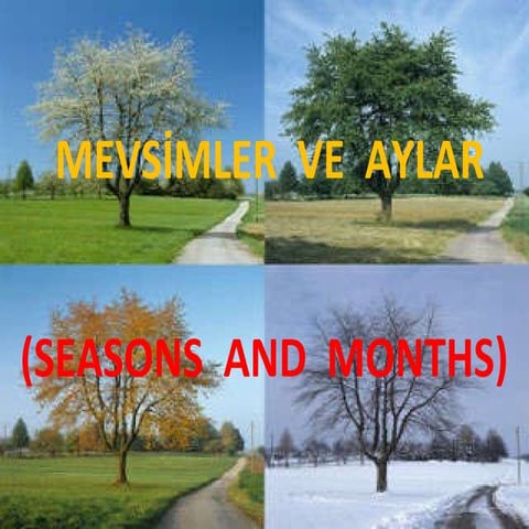 Mevsimler ve Aylar | PPT