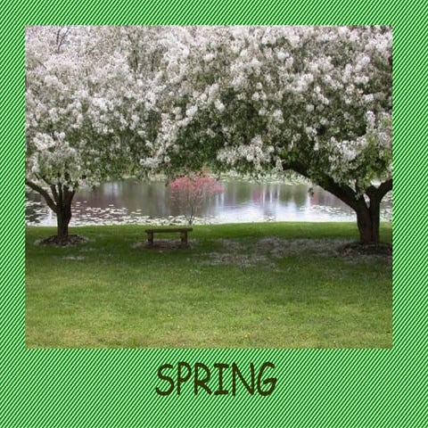 Seasons and Weather | PPT