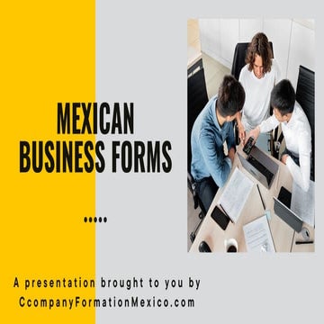 The Main Types of Mexican Business Forms | PDF