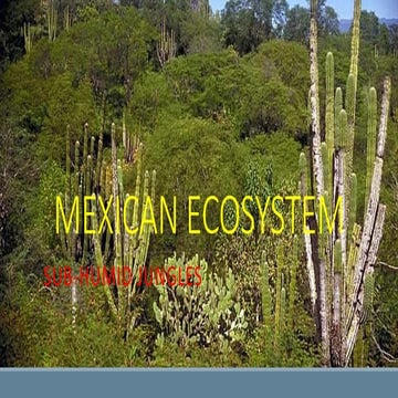 Mexican Ecosystem | PPTX