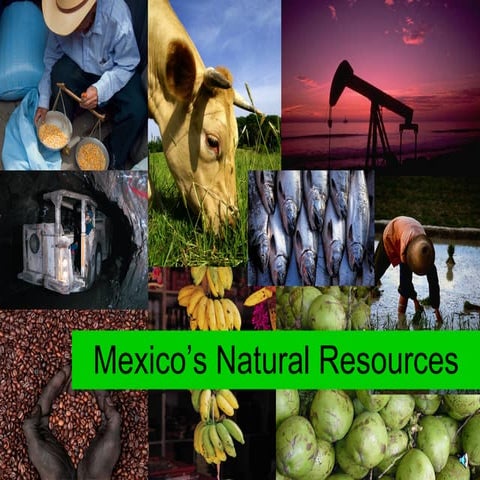 Mexico’s Natural Resources | PPT