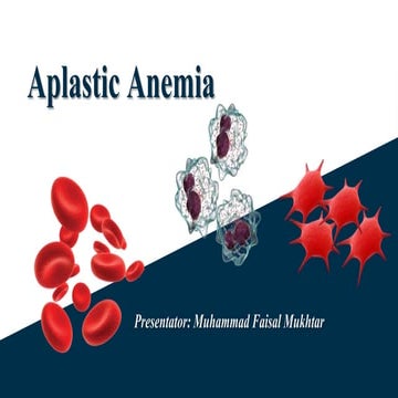 Aplastic Anemia | PPTX | Blood Disorders | Diseases and Conditions
