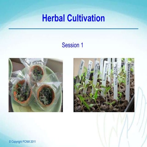 Herbal Cultivation session 1 | PPTX | Herbs and Supplements ...