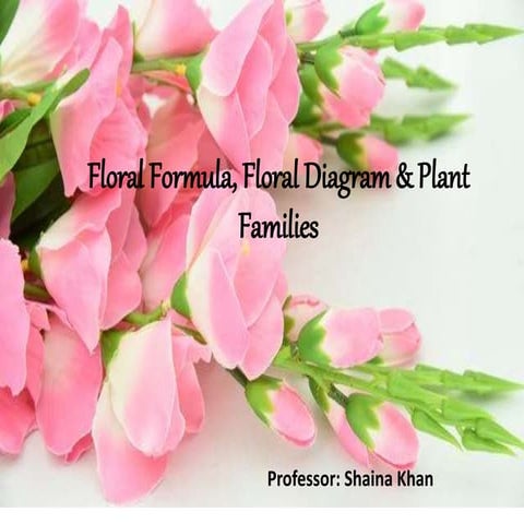 Floral Formula Class 11 Biology | PPTX