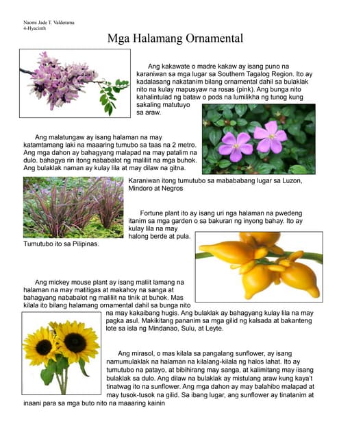 Pagpaparami ng halaman | PPTX