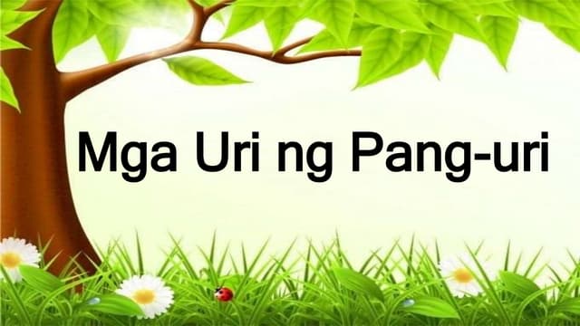 Pang abay na Panang-ayon, pananggi at pang-agam (ACTIVITY) | PPTX