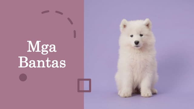 Demo powerpoint Metapora Personipikasyon.pptx