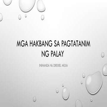 Mga hakbang sa pagtatanim ng palay drexiel mejia.pptx