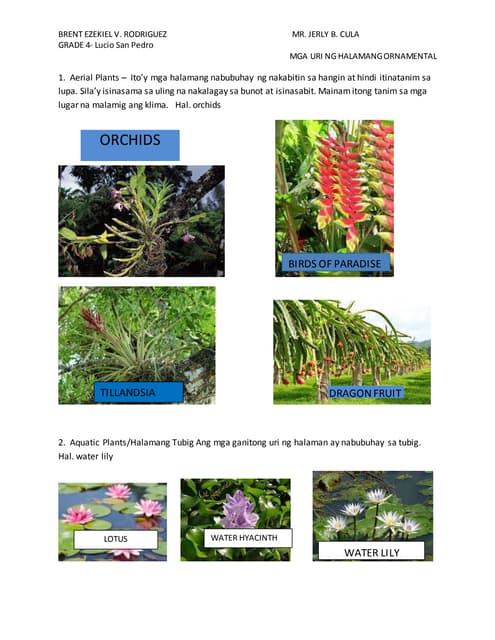 Q2-Week3- Aquatic and Terrestrial Plants.pptx