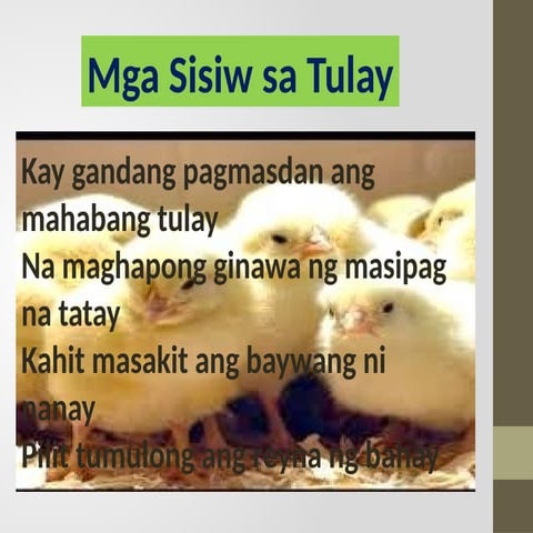 mga sisiw sa tulay by ana marcela gudoy | PPTX