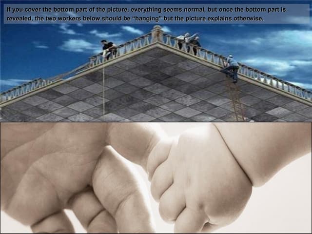 Bite Marks (FORENSIC DENTISTRY) | PPTX