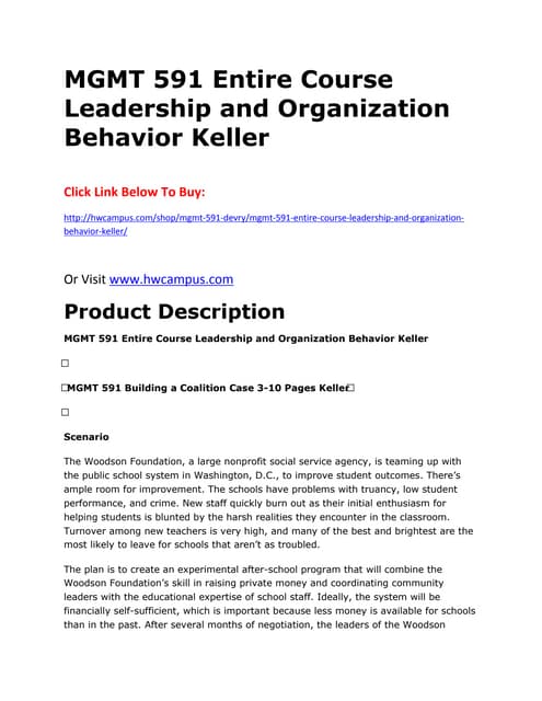 Effective Leadership - Lori Floer Redacted | PDF