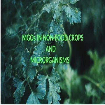 Science Tech MGOs IN NON-FOOD-WPS Office.pptx
