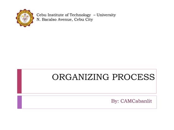 Organization chart and organization structure types | PPT