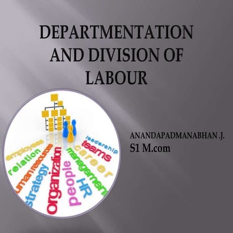 Departmentation | PPTX