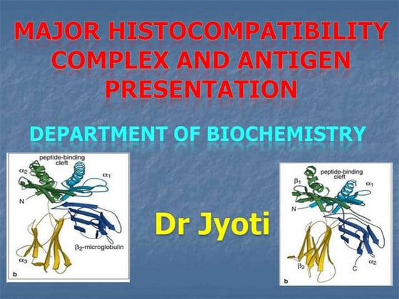 Major Histocompatibility complex | PPT