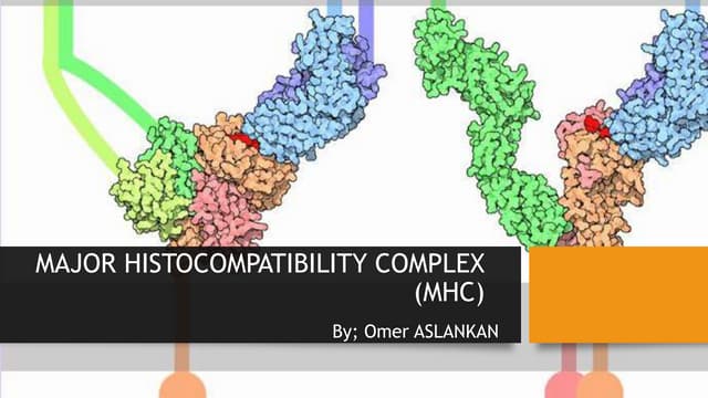 Major Histocompatibility complex | PPTX
