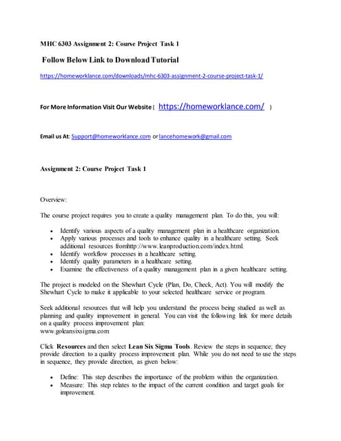 Mhc 6303 Massive Success / snaptutorial.com