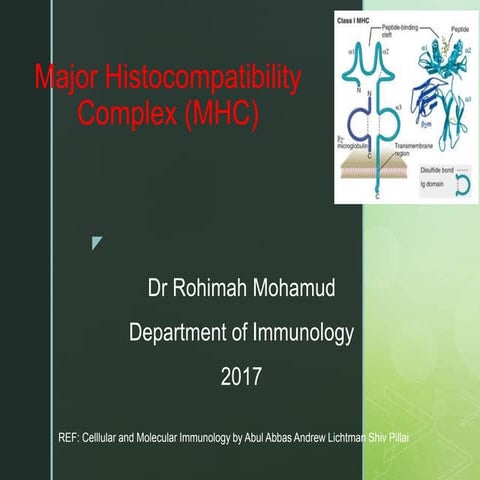Major Histocompatibility Complex (MHC) | PPT