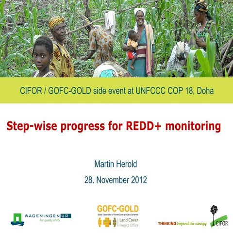 Step-wise progress for REDD+ monitoring | PDF