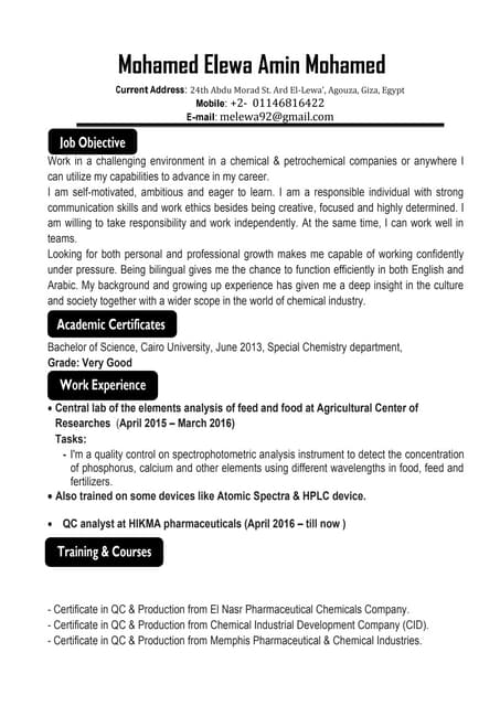 Mahmoud Bakr CV 1 | PDF