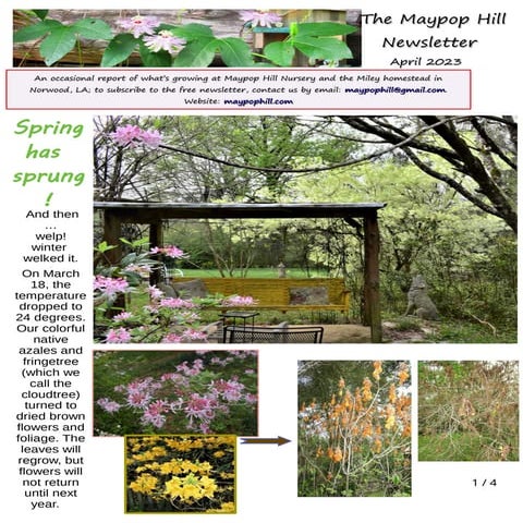 MH Newsletter December 2025.pdf; native plants; natural land use ...