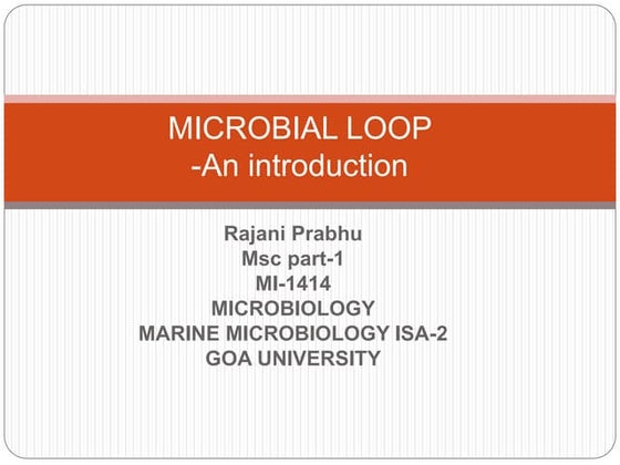 Water zonation | PDF