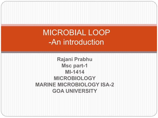 marine microorganisms.pptx