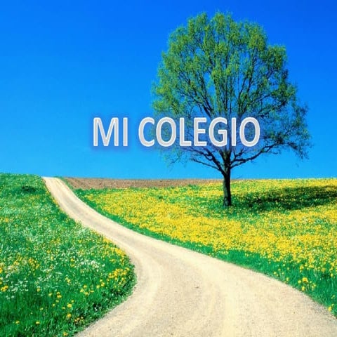 Mi Colegio | PPS