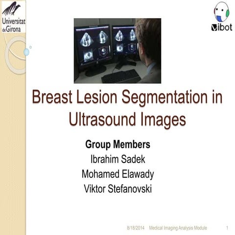 Breast Lesion Segmentation In Ultrasound Images Pptx Photo Editing Software Computer