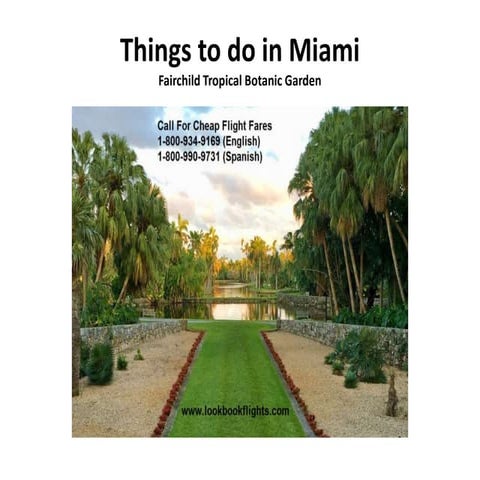 Plan a trip to Miami | PPTX | Beach Travel | Travel Type