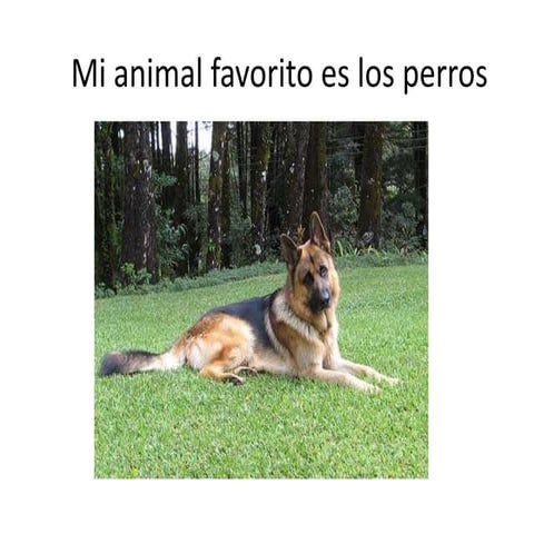Mi mascota favorita | PPTX