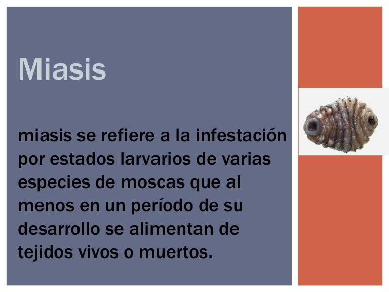 Miasis