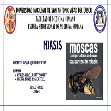 miasis.pdf...... . | PDF