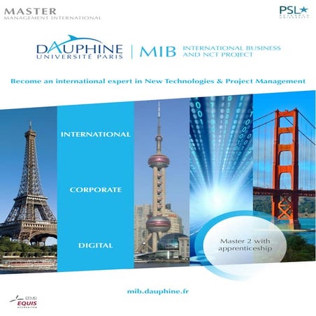 MIB brochure | PDF | Business Administration | Business