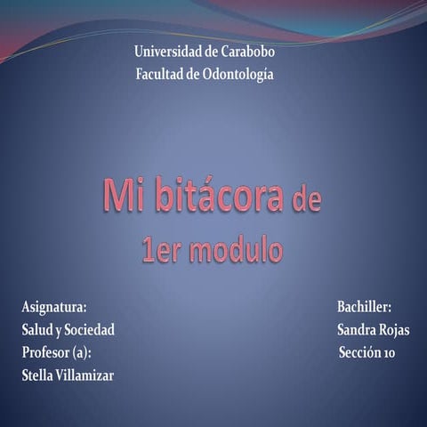 Mi bitácora | PPTX