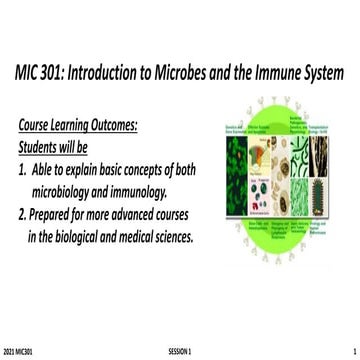 Basic intro to Microbes and the Immune System Powerpoint | PPTX