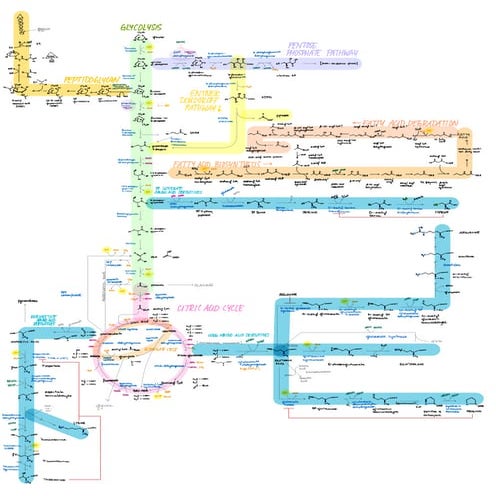 List of many microbiology biochemistry Pathways list for pathways | PDF