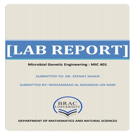 Plasmid Isolation Lab Report | DOCX