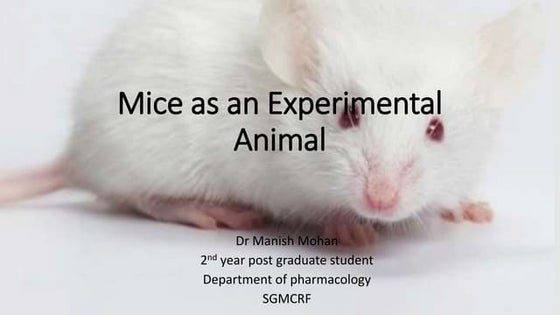 Animal biotech | PPT