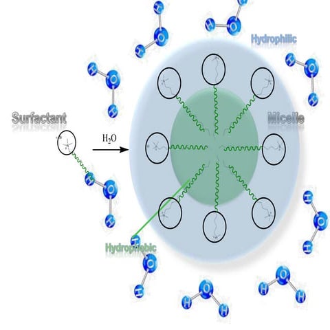 Micelle Formation | PPTX